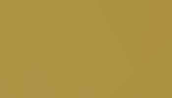 Ral 1036 Pearl Gold Paint - Touch Up — Scratch Repair