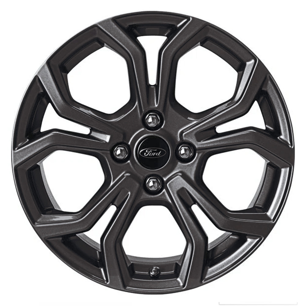 Ford Absolute Black Alloy Paint High-Performance – Scratch-Resistant ...